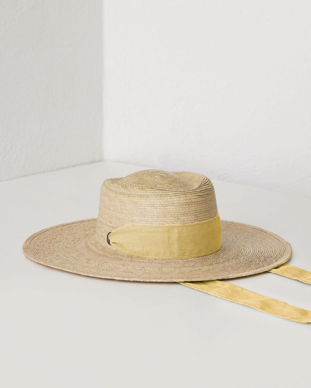 Citron Lemon Palm - Lemonade